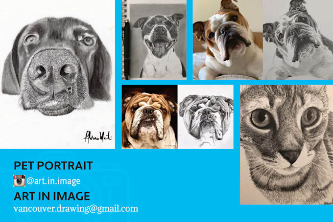 Drawing your pet in portrait based on your photo by Art_in_image_ | Fiverr