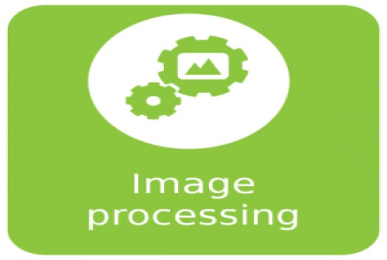 Do project on image processing using opencv and python by ...