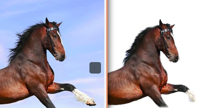 Do image processing and computer vision project by Evgengunya | Fiverr