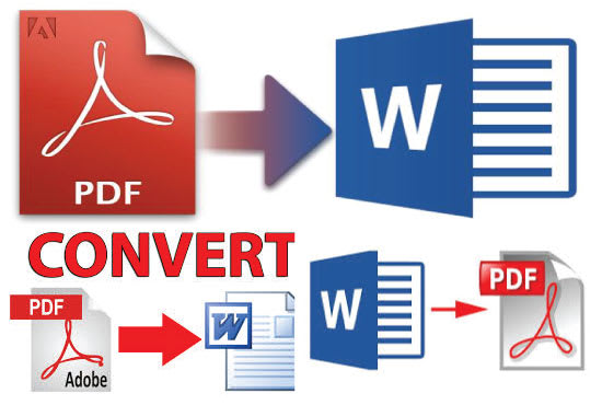 Pdf to word,pdf to excel,,writing by Nirobmolla | Fiverr