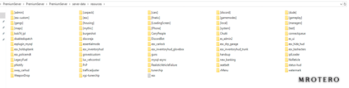 Give a full esx fivem rp server with premium scripts by Mrotero | Fiverr