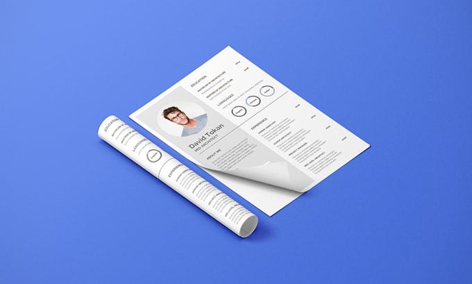 Design killer resume, cv or portfolio design professionally by ...