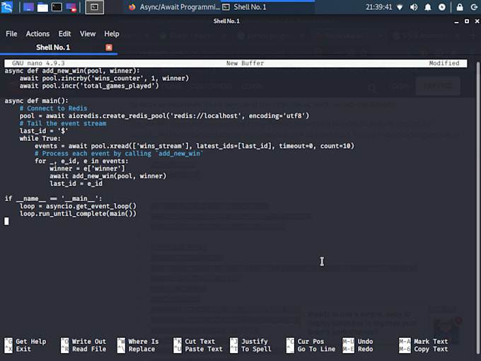 Python programmer and web developer by Theryuk | Fiverr