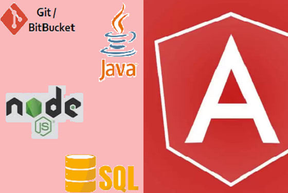 Develop Web App Using Angular Nodejs Api Or Integrate Api By Jigneah57 Fiverr