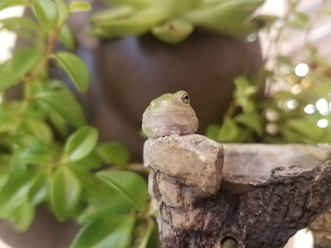 Compose a one of a kind, weird haiku for you by Vincntadultman | Fiverr