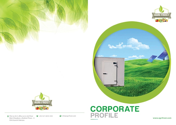 Design an exclusive professional animated company profile by ...