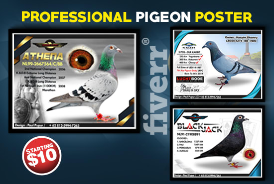 Design a professional pigeon poster by Nurahmadeka | Fiverr