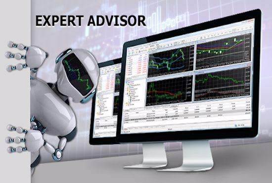 Set up forex ea,trading robot,expert advisor with no loss by Daily_profit