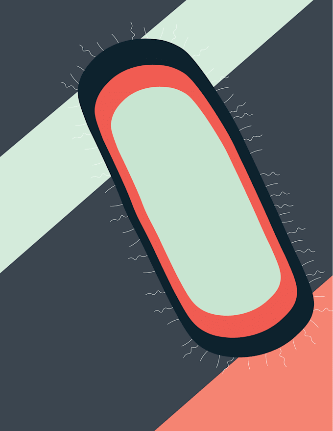 Create a unique and exciting logo for your brand by Kpi_design | Fiverr