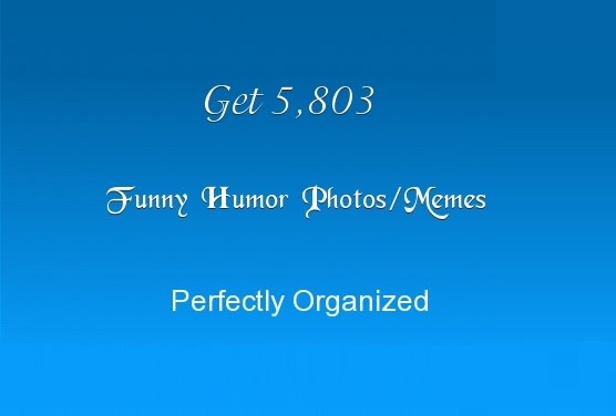 Give you 5,803 funny memes photos perfectly organized by Stefansh | Fiverr