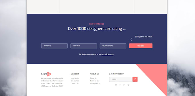 Do landing page, web spa application with vuejs,nuxtjs and django by Sergei_44 | Fiverr
