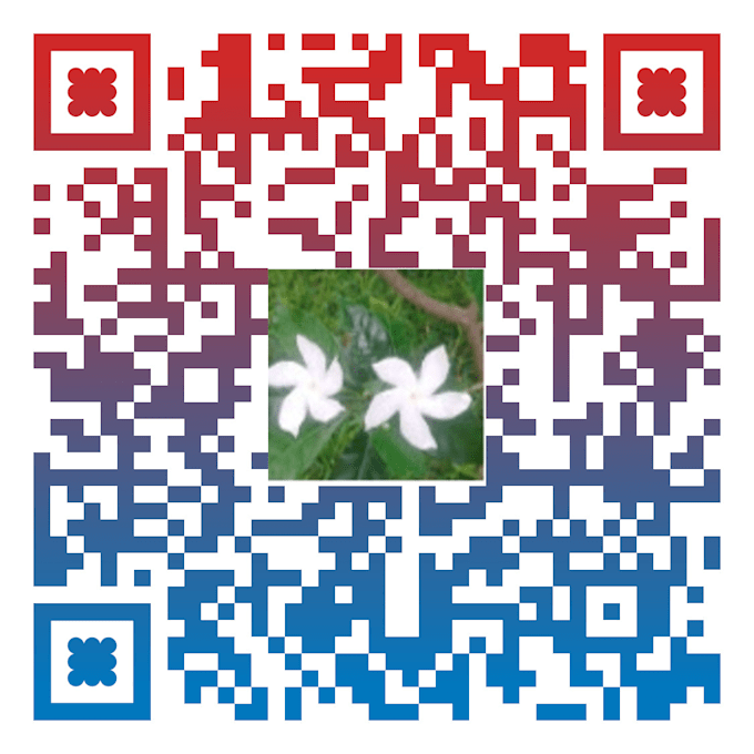 Really good at making best qr code for you by Devim1978 | Fiverr