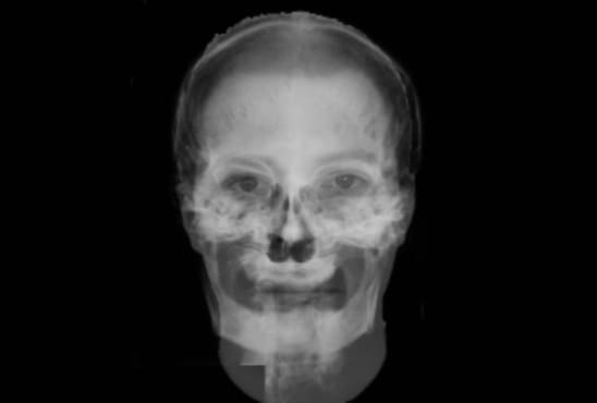 Morph your face to a skull as an animated gif file in black and white ...