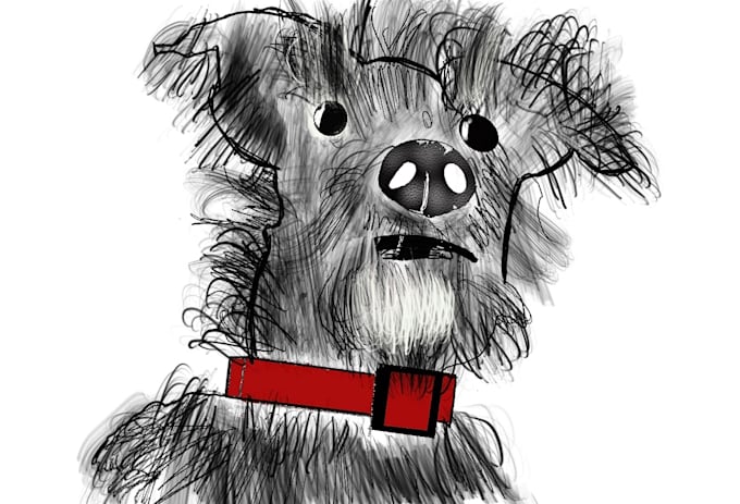 Can draw anything you want to give you the best unprofessional drawing ...