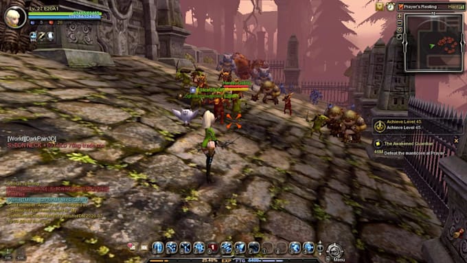 You get max level in dragon nest sea by Ajimaulana | Fiverr