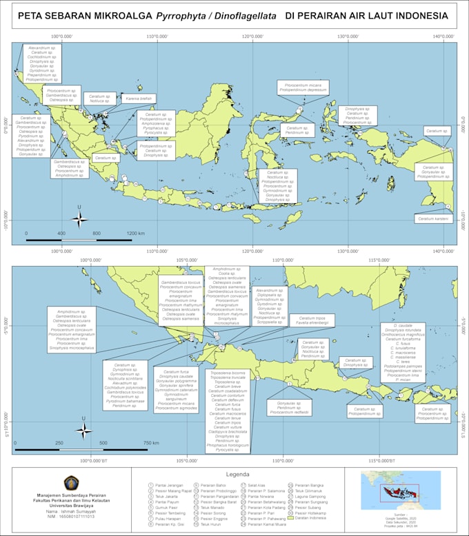 Create a cool map or research map by Afifolivian | Fiverr