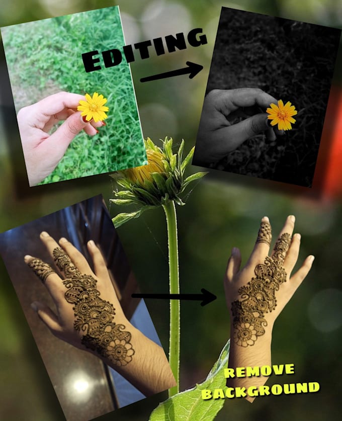 Do photoediting in snapseed lightroom picsart also remove background by Irfanaa_ | Fiverr