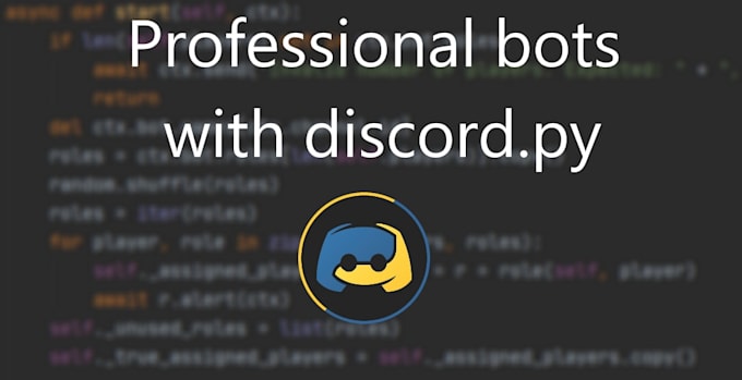 Create professional discord bots in python by Xuayraili | Fiverr