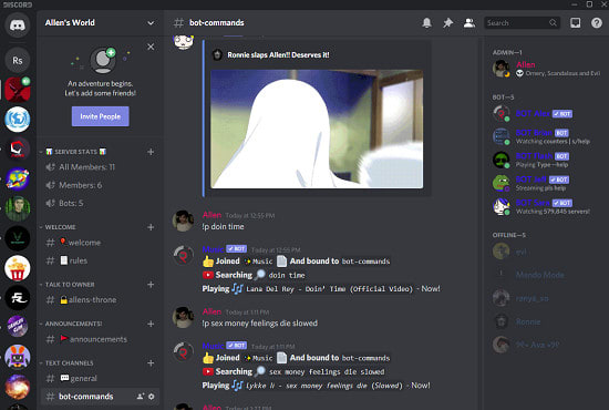 Setup basic discord server by Allenhere | Fiverr
