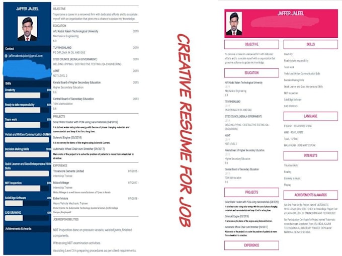 Design professional creative resume and bio data by Jafferjaleel | Fiverr