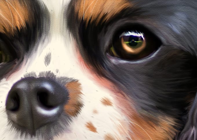 Create realistic animal art by Creative_lisa_ | Fiverr