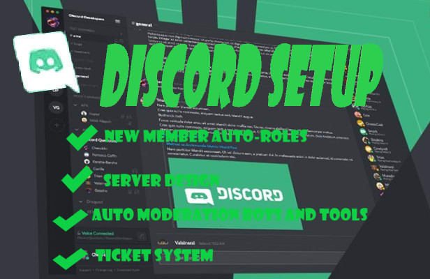 Ll professionally build a discord server with best design by Qwertyco ...