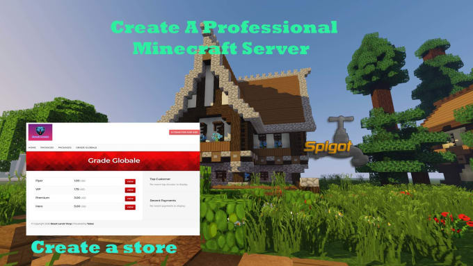 Create a professional minecraft server in 3 days by Sebastian_21 | Fiverr