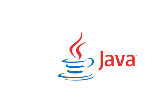Help you learn the basics of java programming by Aleenaanna162 | Fiverr