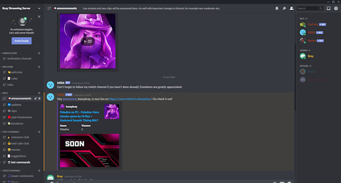 Fully advanced discord servers built to your liking by Bray31309 | Fiverr