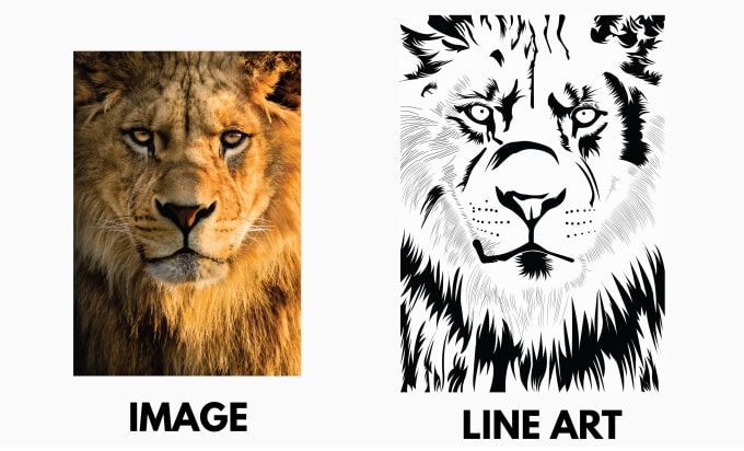 Draw detailed vector illustration, line art, outline by Nailanoreen_465 ...