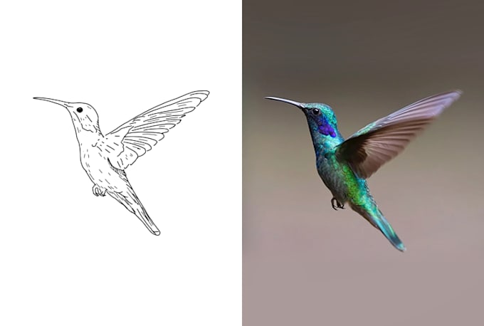 Draw a low detail sketch from your image by Vladimironische | Fiverr