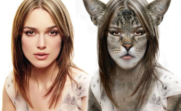 It will become a humanoid cat and cut the background by Soledad89 | Fiverr