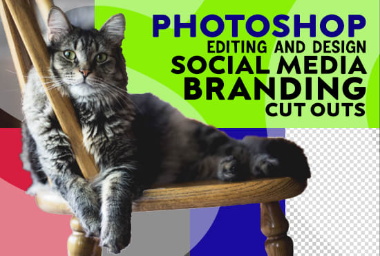 Edit cut out and crop your images by Stevenhk1987 | Fiverr