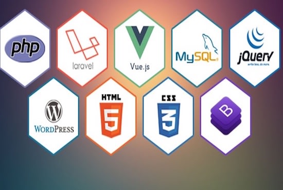 Fix or develop website using laravel, vuejs by Letuanchinh | Fiverr