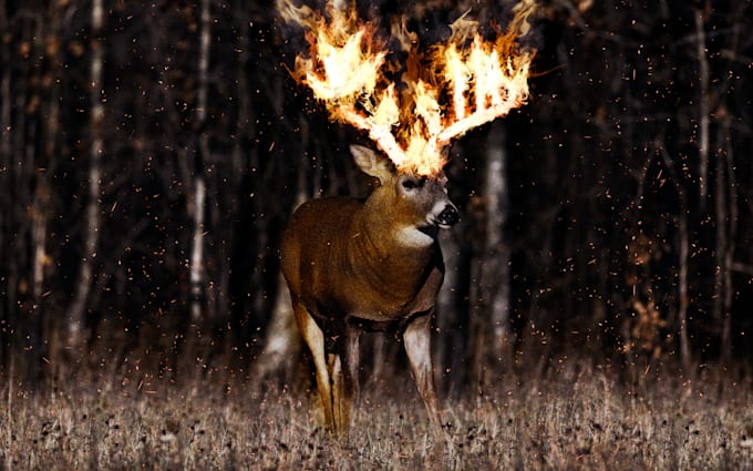 Creat flame and fire photoshop edits by Sak181998 | Fiverr