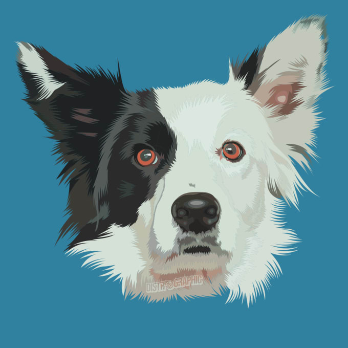 Draw your pet into vector art cartoon by Distrographic | Fiverr Draw your pet into vector art cartoon by Distrographic | Fiverr