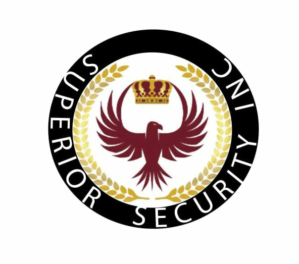 Design a impressive logo by Aniqajaved123 | Fiverr