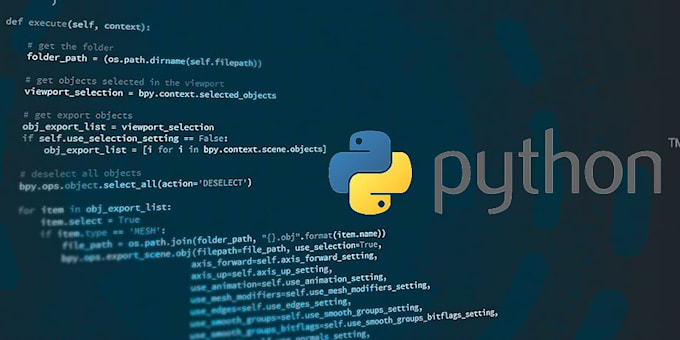 Teach you basic python programming by Armanmojaver | Fiverr