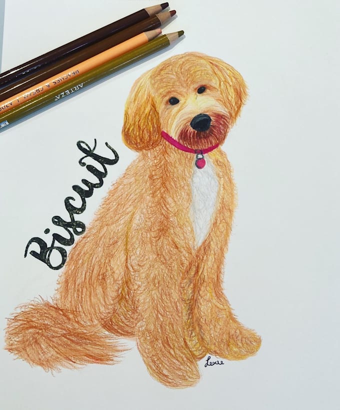 Draw anything you like by Lexiedraws | Fiverr