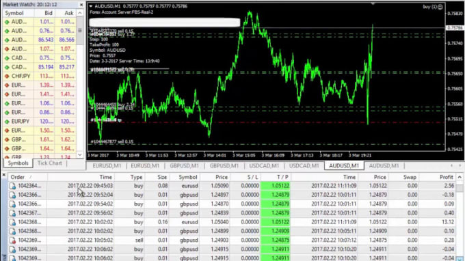 Build highly profitable forex trading bot,mt4,forex ea,crypto trading ... Build highly profitable forex trading bot,mt4,forex ea,crypto trading ...