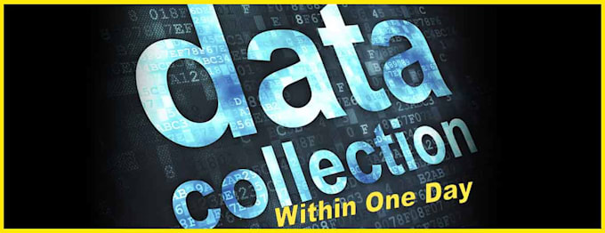 Do data collection data entry in lowest prise within one day file ...
