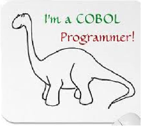 Write Cobol Code On Notepad By Curtiscobol Fiverr