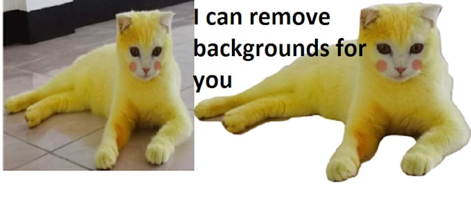 Remove image background for you by Bikram141 | Fiverr