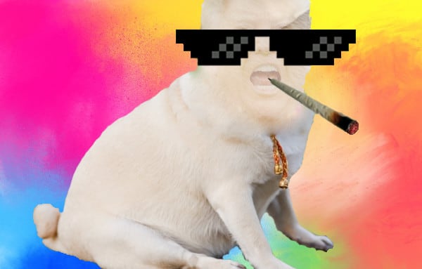 Photoshop memes and cartoon by Maister_exe | Fiverr