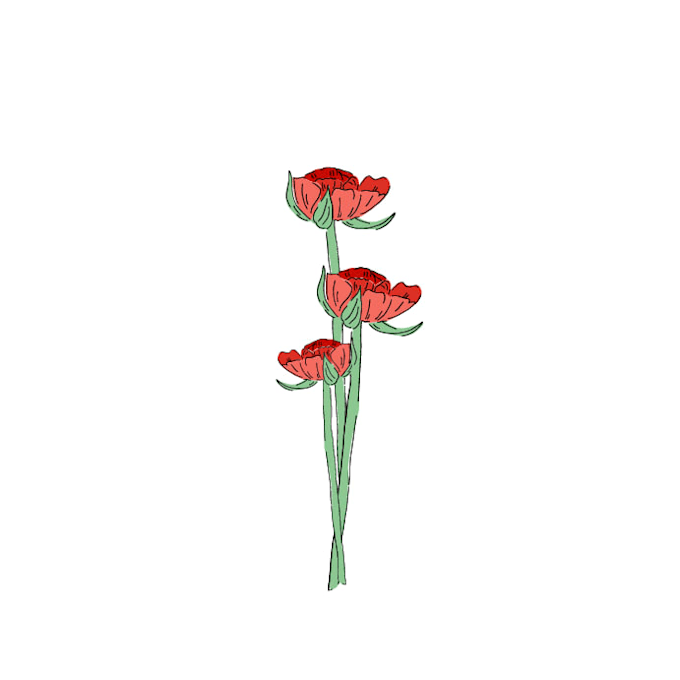 Send you flower app covers for ios 14 by Fionashatton | Fiverr