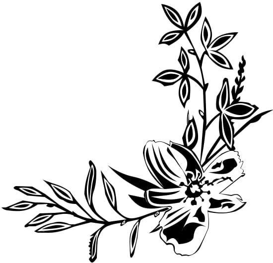 Draw a detail vector line art illustrations by Dev_project | Fiverr