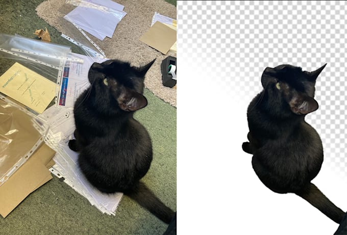 Manually remove your background image by Chrisdrus | Fiverr