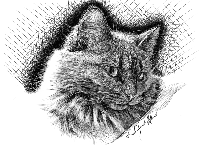 Create a beautiful custom digitally hand drawn illustration by Zeee ...