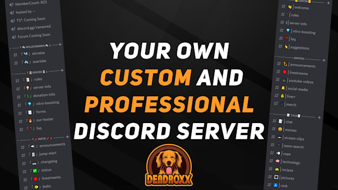 Setup your own custom and professional discord server by Dendroxx | Fiverr