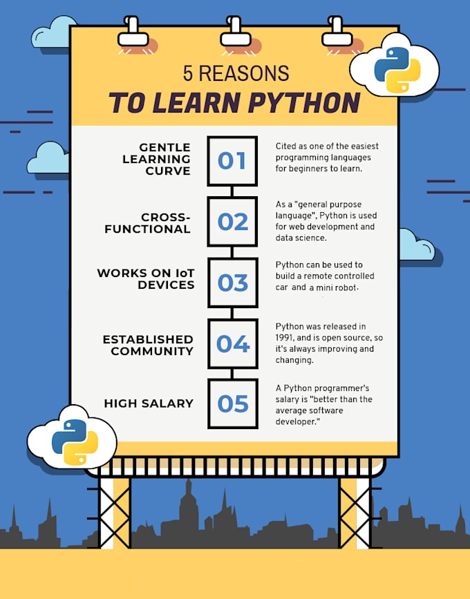 Transform you into a ready to serve python professional by ...